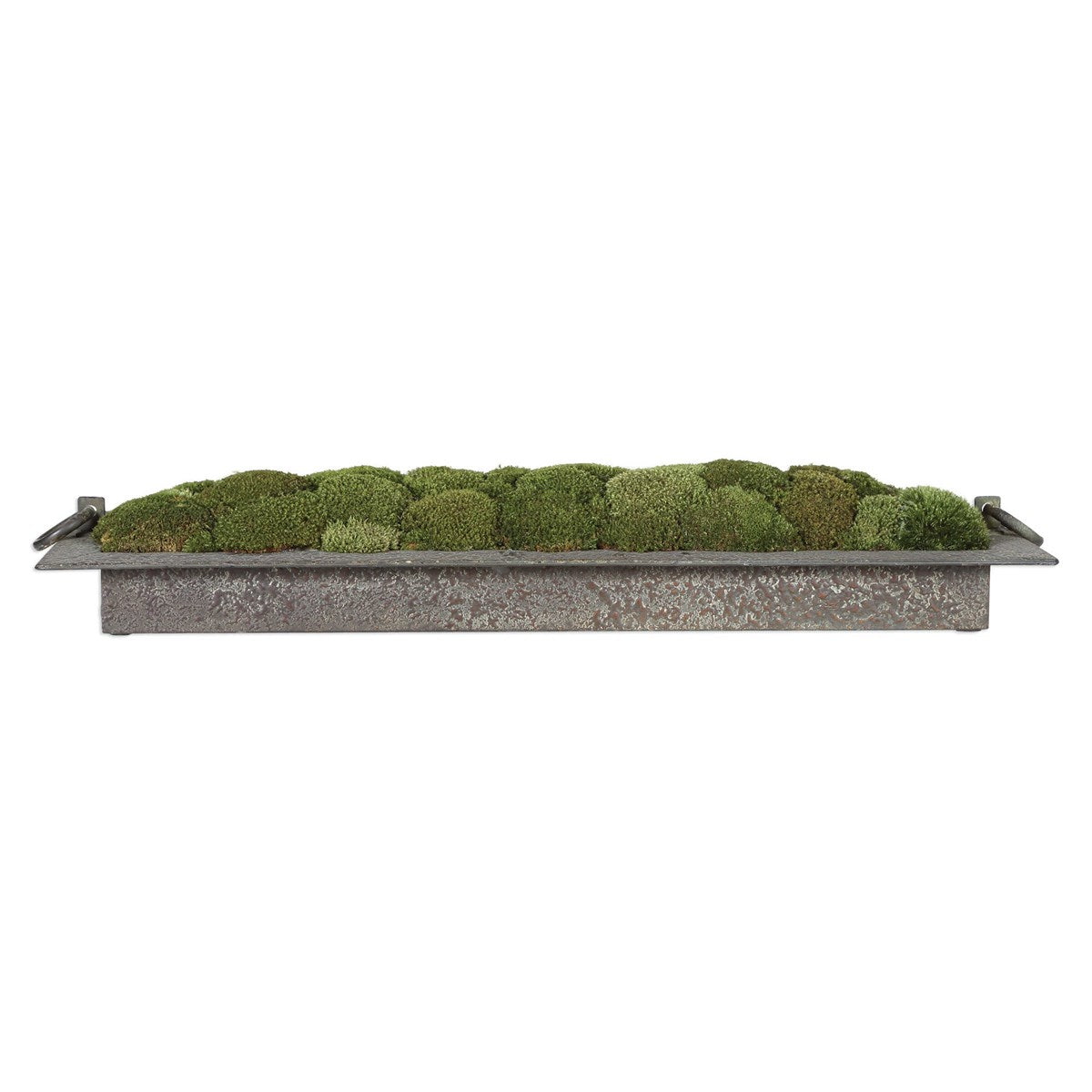 Heath, Preserved Moss Tray – Ashley Homestore Furniture